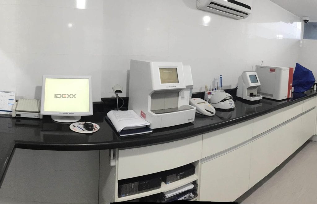 Eletrocardiograma Veterinário | Clinica Veterinária 24 horas | HVSM